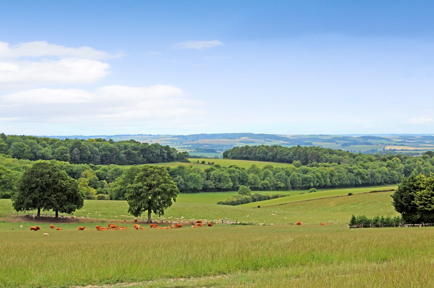 Discover Reading | Town, Suburbs & Countryside